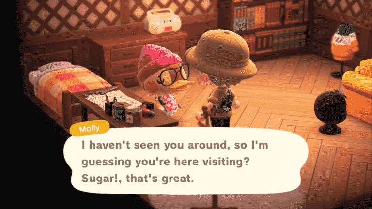 Molly Animal Crossing Complete Character Guide - Game Specifications